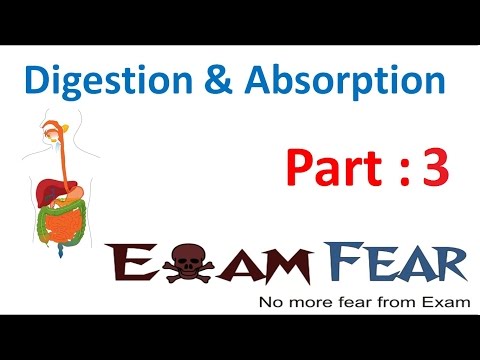 Mouth and Buccal cavity - digestion and absorption, Biology, Class 11 ...