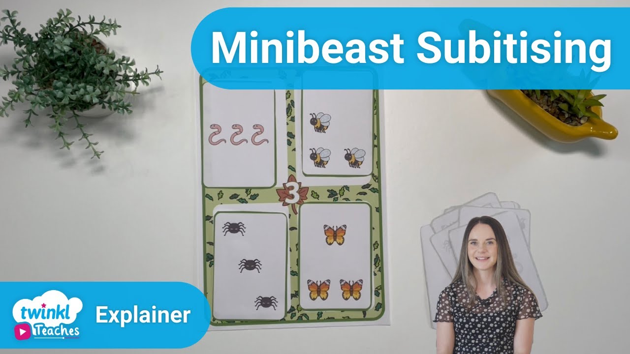 Minibeasts Subitising Numbers 1 to 5 Sorting Activity
