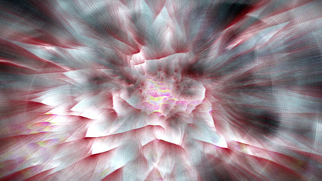 Generative Flower visuals for installation video art