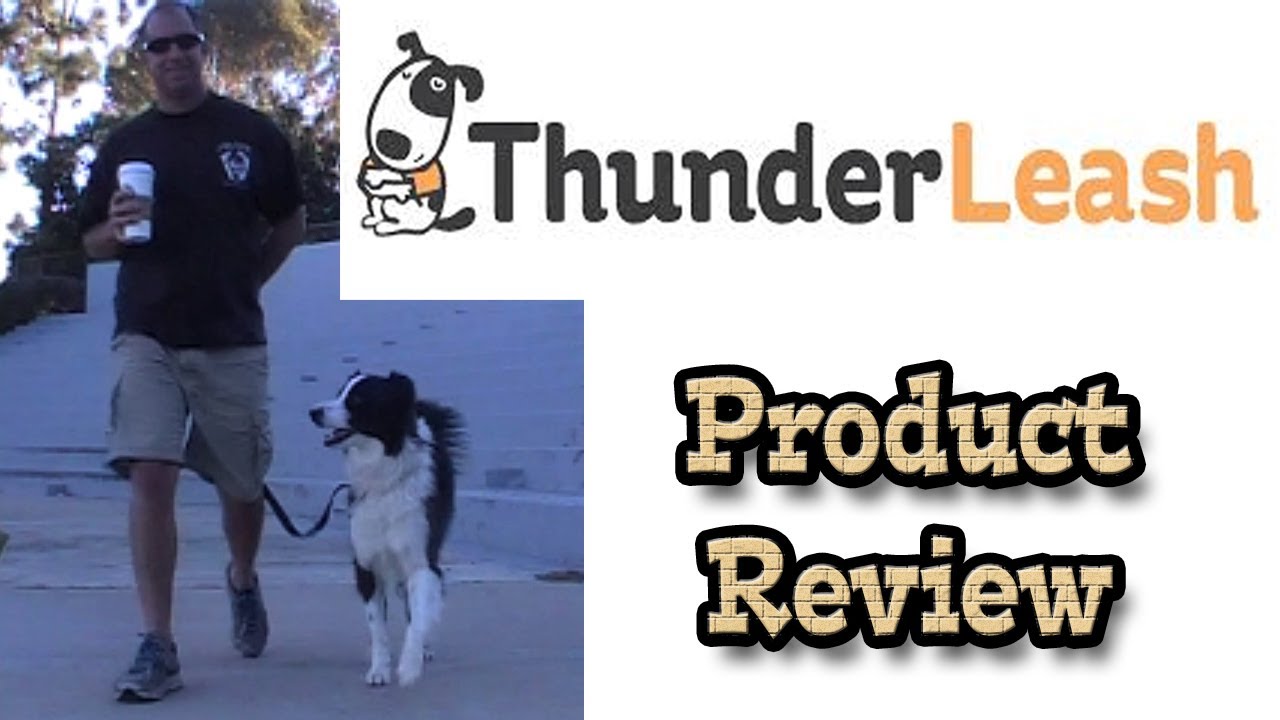ThunderLeash - Product Review