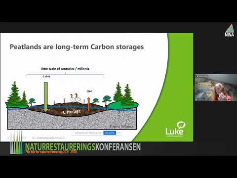 Is there climate smart restoration in peatlands