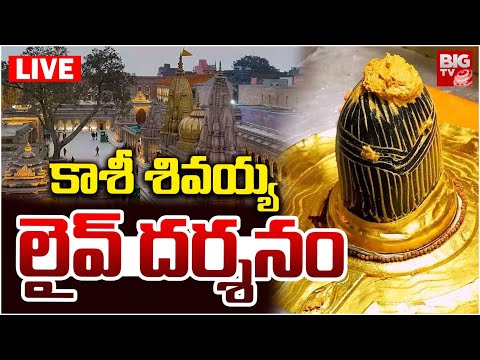 Kashi Vishwanath LIVE | కాశీ శివయ్య లైవ్ దర్శనం | Kashi Vishwanath Darshan | BIG TV