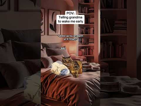 CAT MEMES 🐱Telling grandma to wake me early #catmemes #relatable #relationship