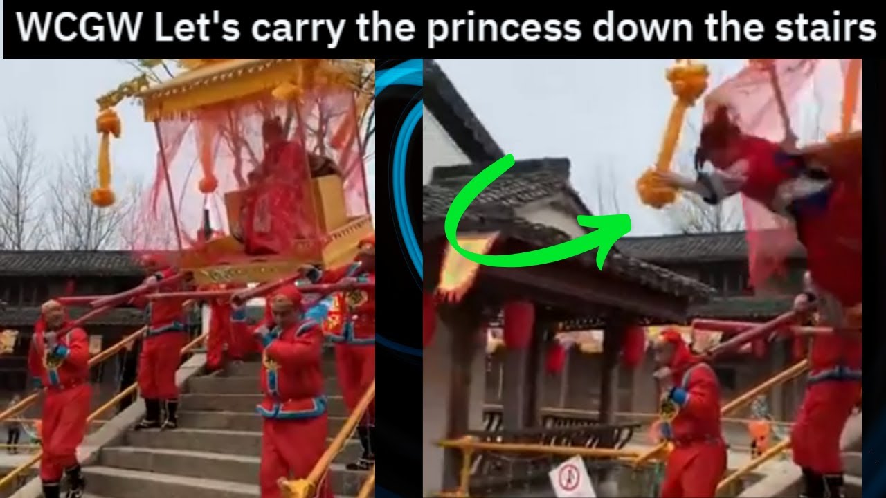 r/whatcouldgowrong | uh... sorry princess