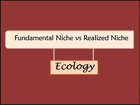 Fandamental niche and realized niche
