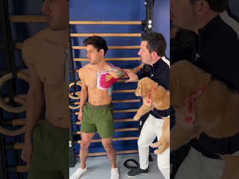 AC & SC Joint Stretch #shorts