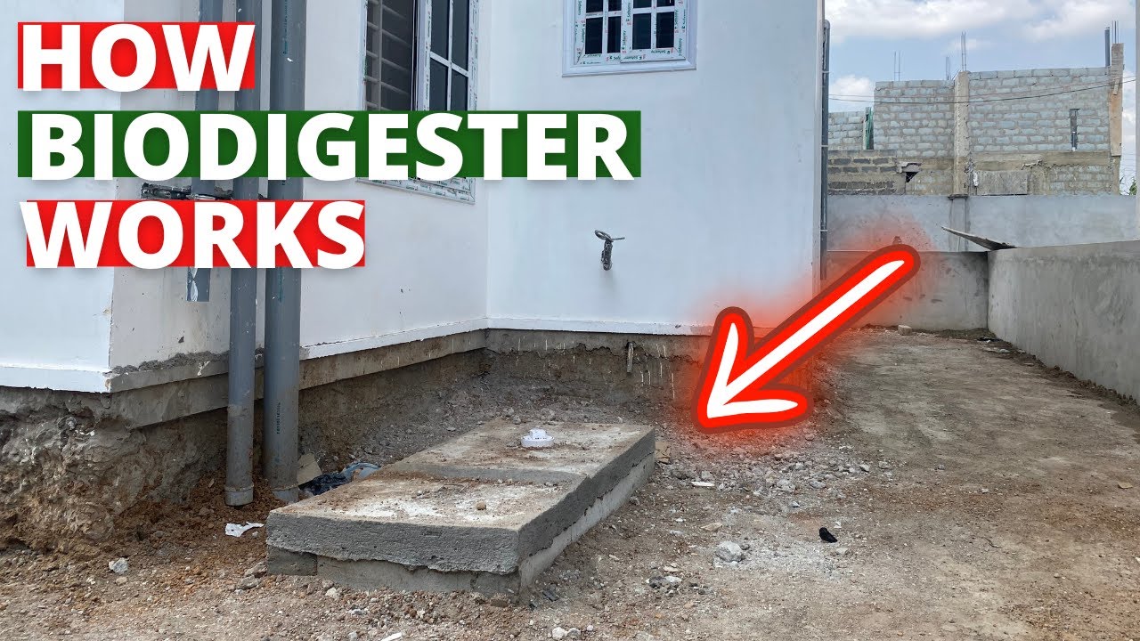 How Biodigesters Work In 2023
