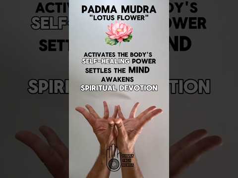 Padma Yoga Mudra | Benefits | Lotus Flower | Hand Gesture