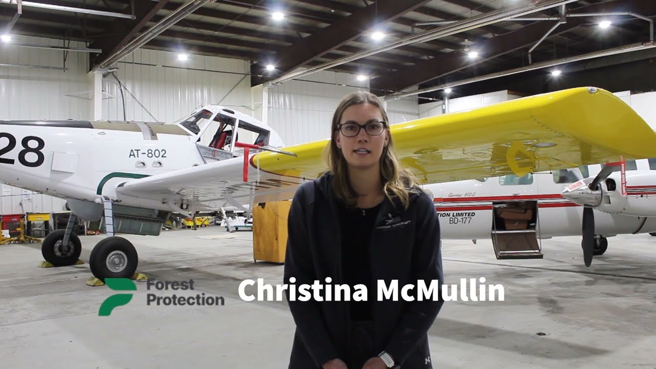 Forest Protection Limited: Our Role