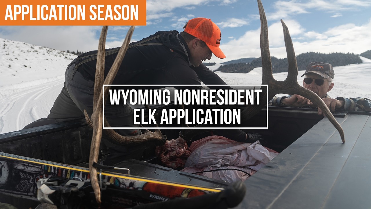 How to Draw an ELK Tag in Wyoming | 2025 Application Strategy