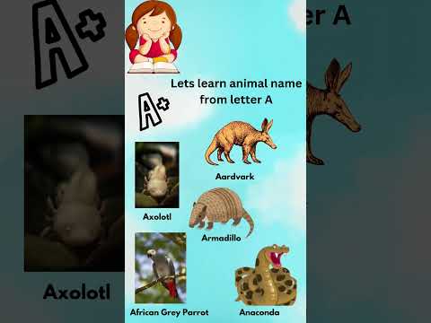 🐾 Amazing Animals That Start with 'A'! 🦜🐜 | Fun & Educational for kids,
