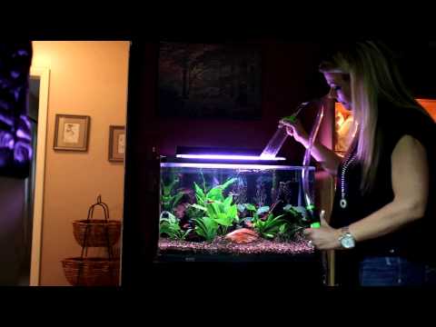 Python No Spill Water Change System