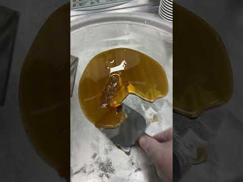 Sugar free maple syrup test