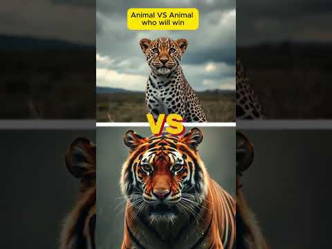 Animal VS Animal | who will win | (Part.4)