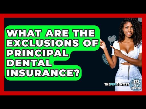 What Are The Exclusions Of Principal Dental Insurance? - The Pro Dentist