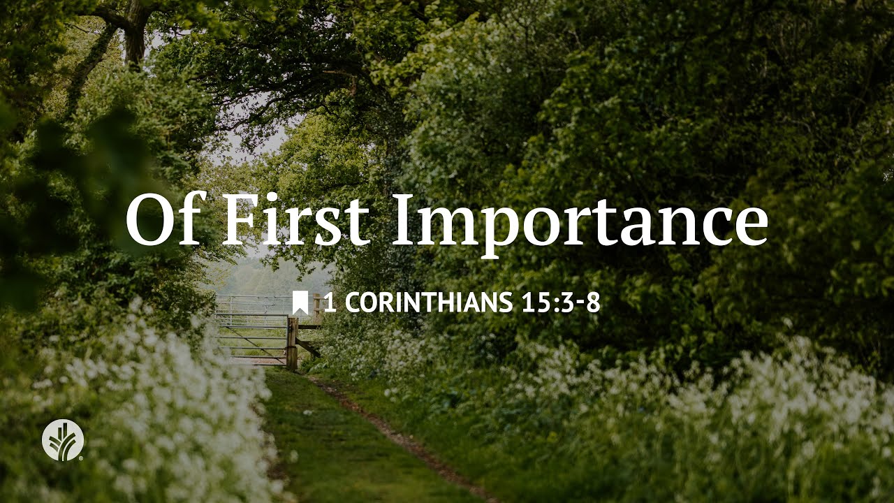 Of First Importance | Audio Reading | Our Daily Bread Devotional | November 6, 2025