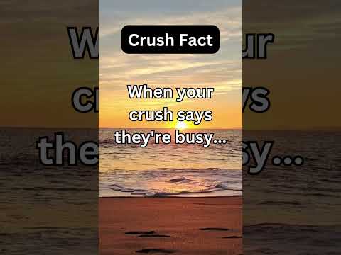 Opposites Attract: The Thrill of My Crush