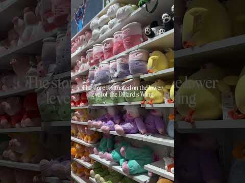 MINISO Grand Opening in Austin, TX #miniso #minisousa #sanrio #bt21 #blindboxes #austin
