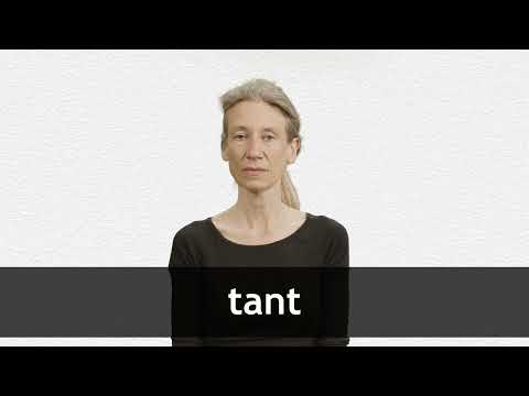 English Translation of “TANT” | Collins French-English Dictionary
