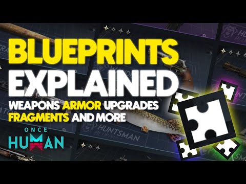 Once Human Beginner Guide: BLUEPRINTS, WEAPONS, AND ARMOR… - Partner