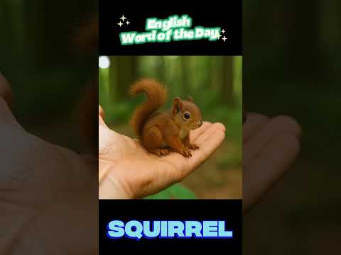 English Word of the Day - Squirrel