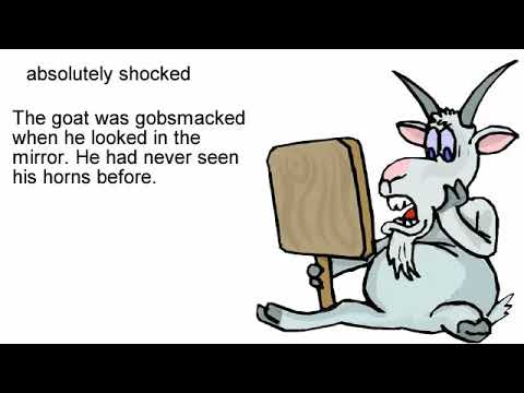 gobsmacked meaning | Vocabulary for Kids | Children's Dictionary | Learn English Vocabulary