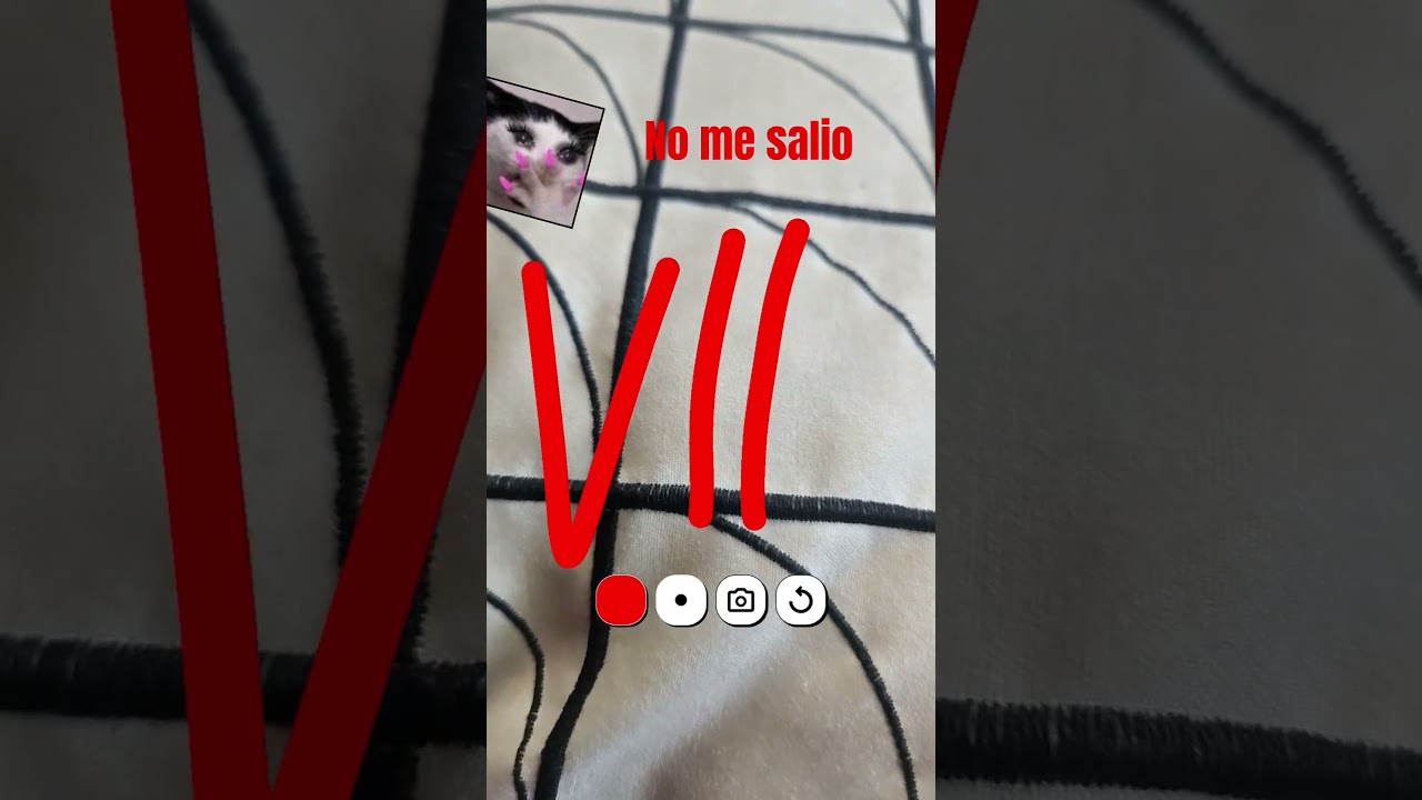 https://media.tenor.com/zepjkPRfrCwAAAAM/cat-stress-aaa.gif