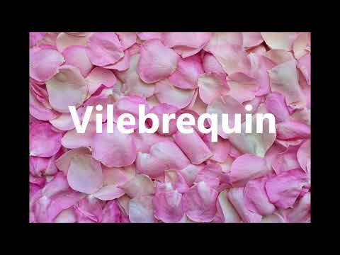 How to pronounce Vilebrequin? - Vilebrequin pronunciation