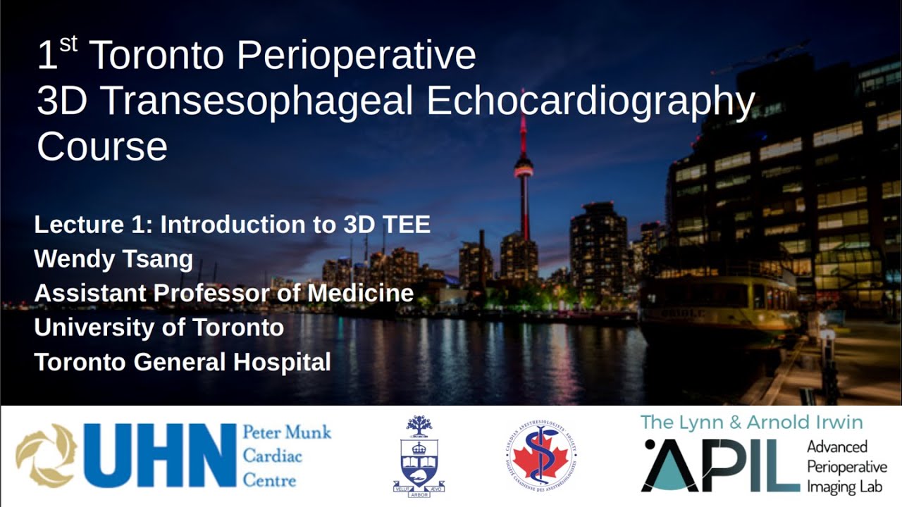 1 Tsang - 2019 - Introduction to 3D TEE. Toronto Perioperative 3D TEE Course 2019