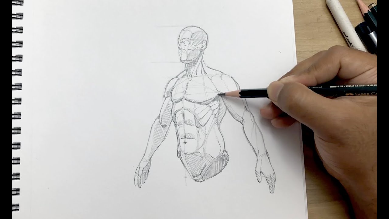 Human anatomy Drawing Study - SinArty