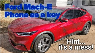 2021-2025 Mustang Mach-E Key Fob: Programming, PAAK Issues, and ...