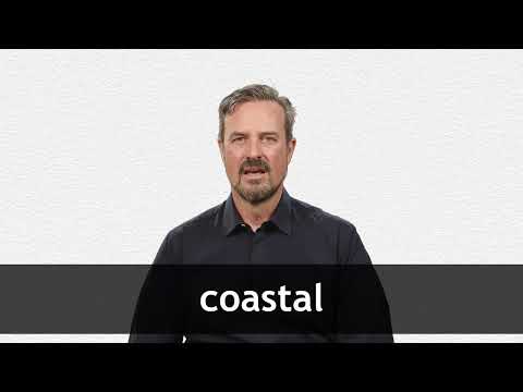 COASTAL 释义 | 柯林斯英语词典