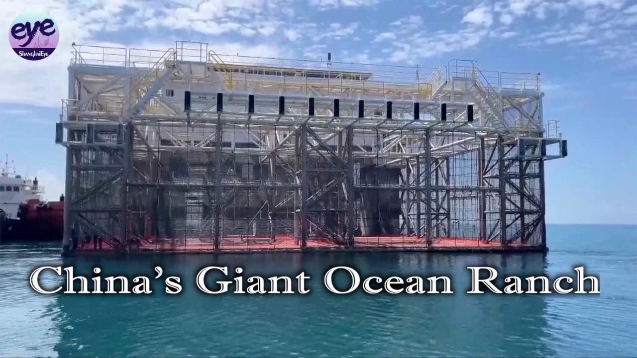 China’s MASSIVE “Sea Granary”: The Largest Floating Ranch is Here!