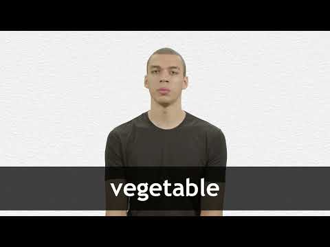 How to pronounce VEGETABLE in American English