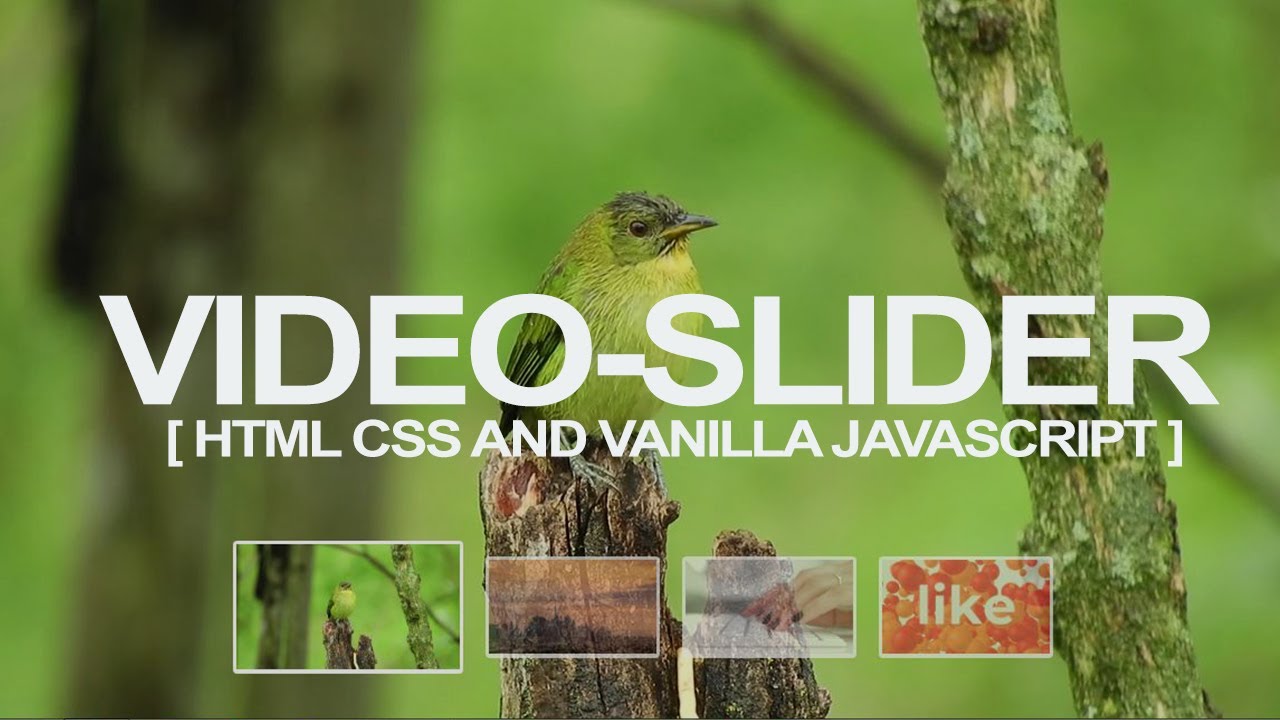 How To Create Video Slider Using CSS And Vanilla Javascript | Web Design Tutorial