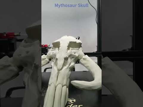 Mythosaur Skull from Mandalore 3D printed time lapse wall mount
