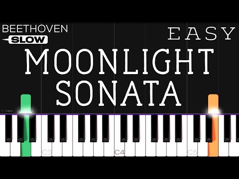 Beethoven - Moonlight Sonata | SLOW EASY Piano Tutorial