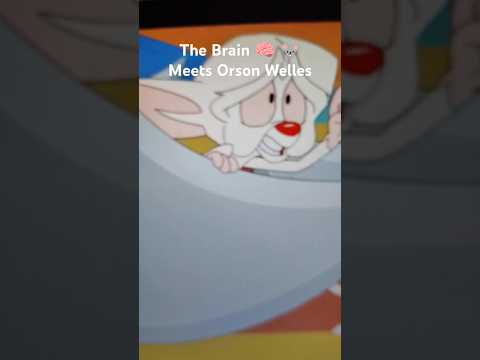 Same Voice Actor #4: Maurice LaMarche (The Brain and Orson Welles)
