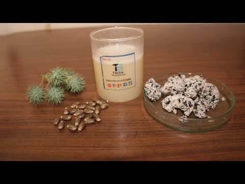 Extract Castor oil from Castor Seeds