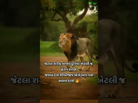 the Gujarati attitude WhatsApp status and hindi attitude WhatsApp status most welcome