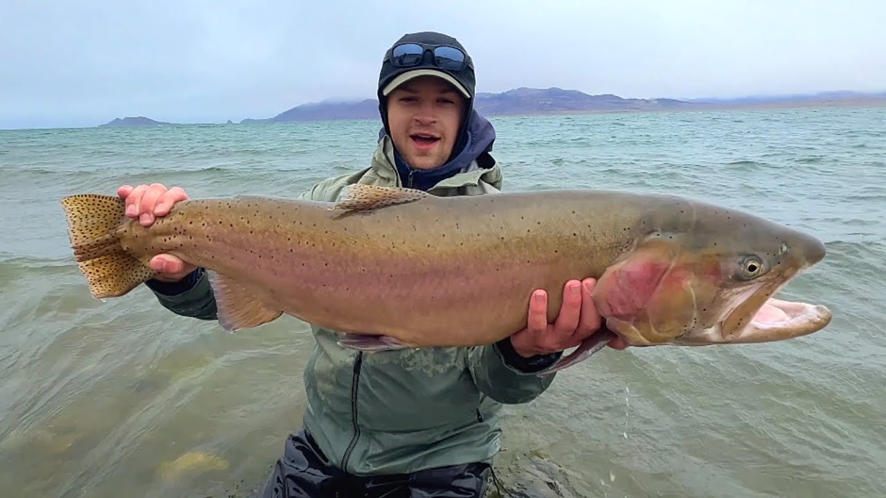 BIGGEST TROUT IVE EVER SEEN!! (17 LB Cutthroat Trout)