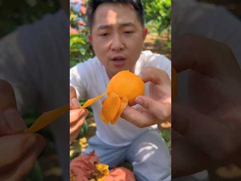 how to eat loquat fruit || #fruit #loquat #farming