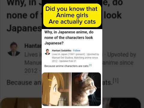 Did you know that anime girls designed after cat #shorts