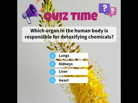 Which organ in the human body is responsible for detoxifying chemicals? #quiz #flagquizz #quizetime