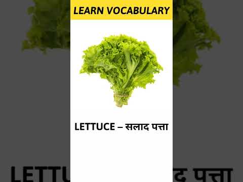 Lettuce Meaning in Hindi | Learn Vocabulary Shorts