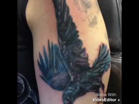 Raven tattoo