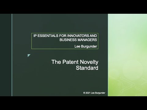 The Patent Novelty Standard