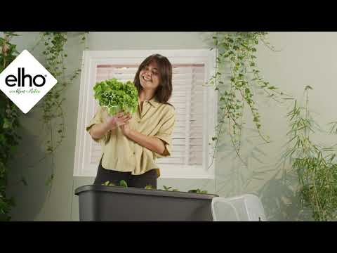 elho Green Basics Grow House XXL Transparent | Planters & Raised Beds ...