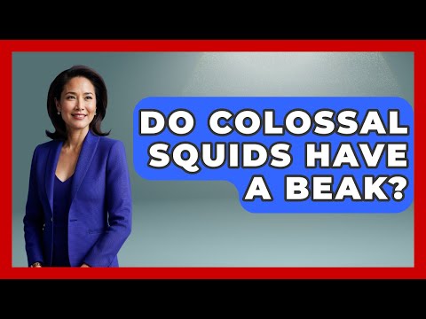 Do Colossal Squids Have A Beak? - Polar Regions Uncovered