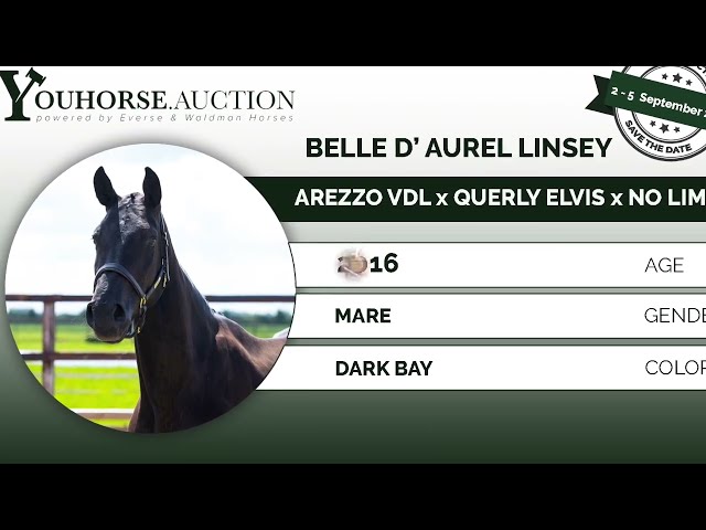 Youhorse.auction | Belle D‘aurel „Linsey“